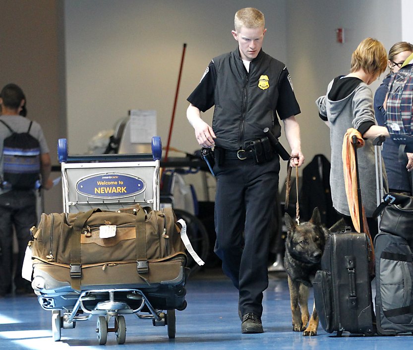 Smuggling techniques reaching new levels