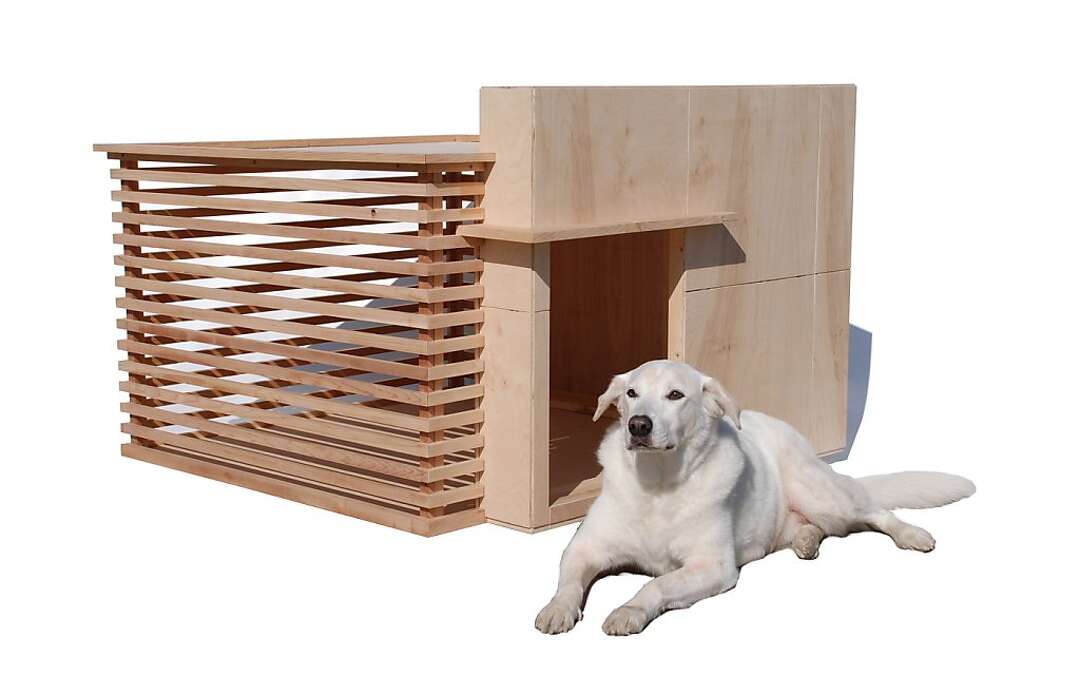 Modernist pet houses