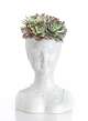 Female bust planters with succulents