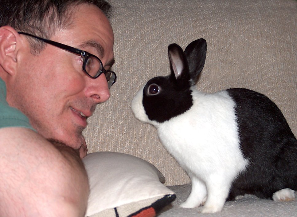 Five Places to indulge a fondness for rabbits