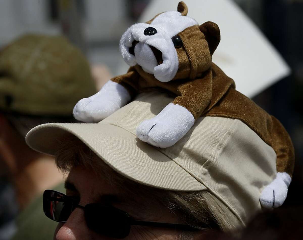 S.F. committee barks at federal dog plan