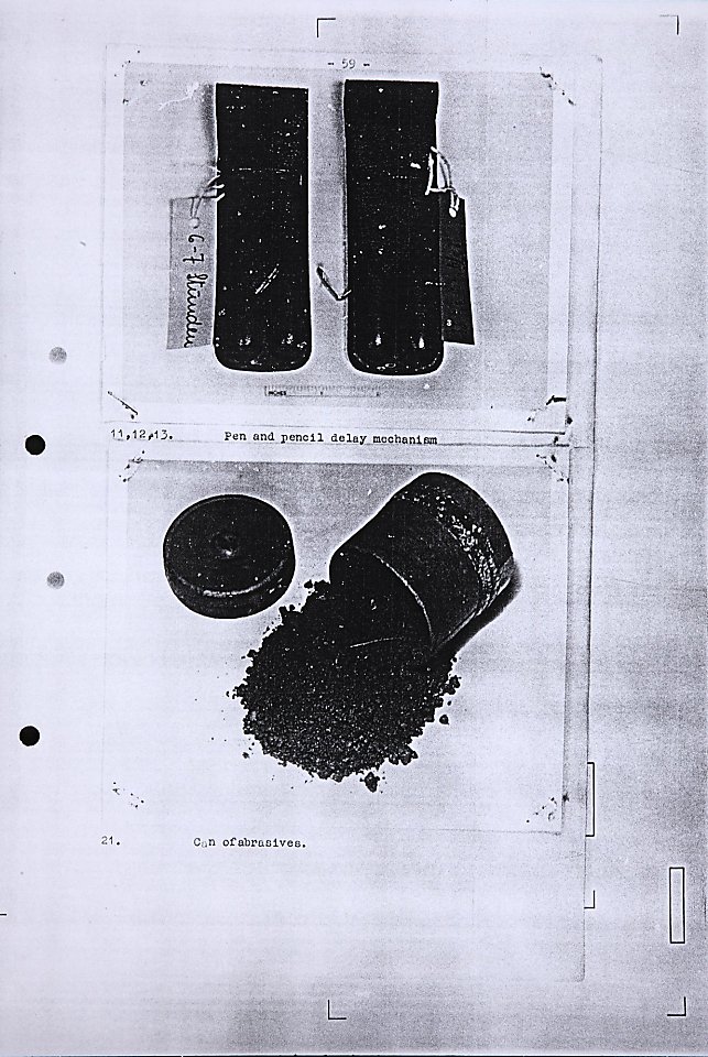 When Nazis invaded America