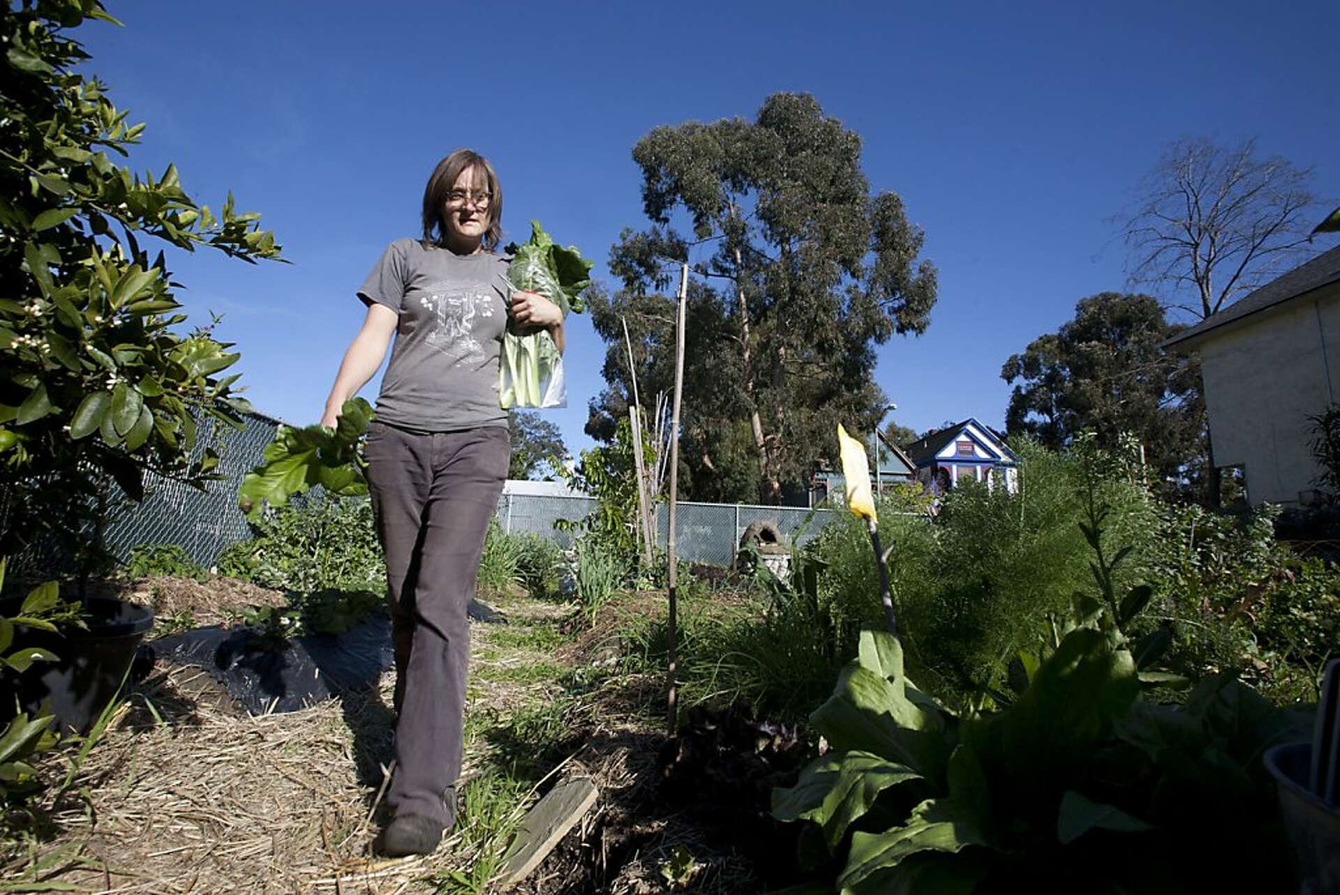 Oakland gardener questions need for permit to sell produce
