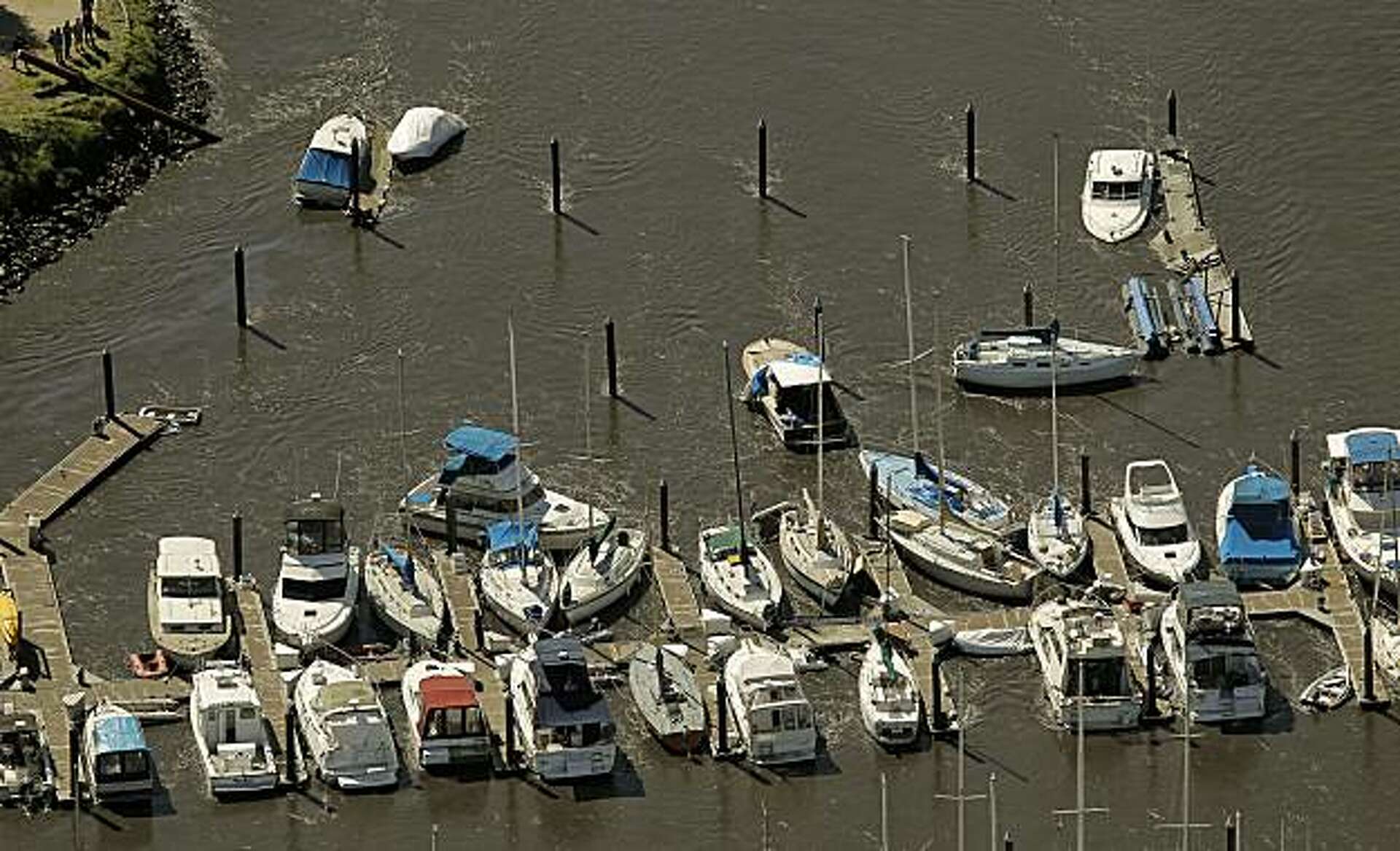 Tsunami causes millions in damage in California