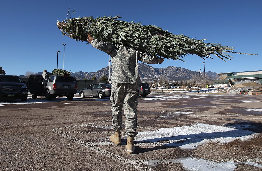 Trees for Troops