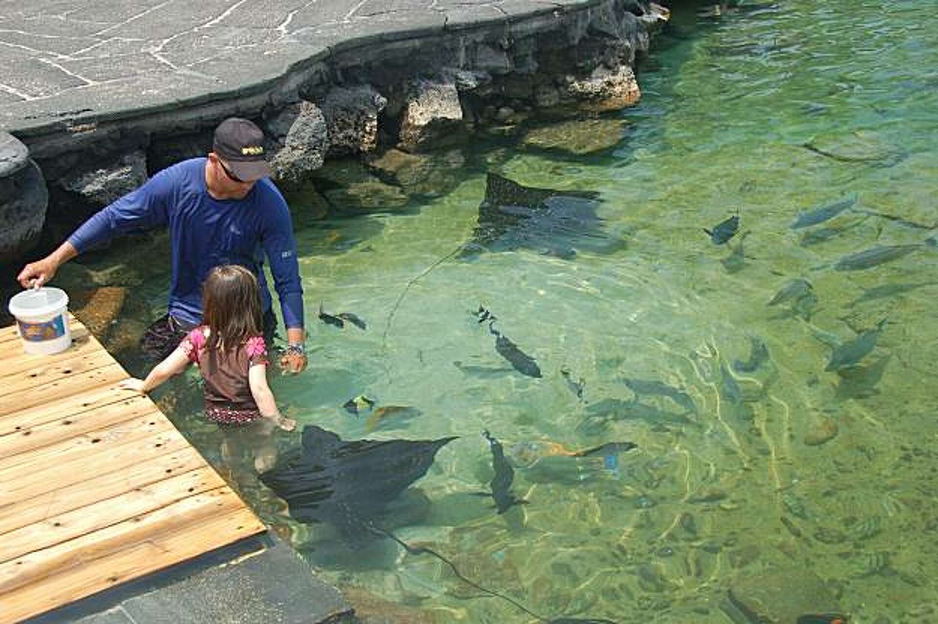 Dive into Hawaii's best swimming pools