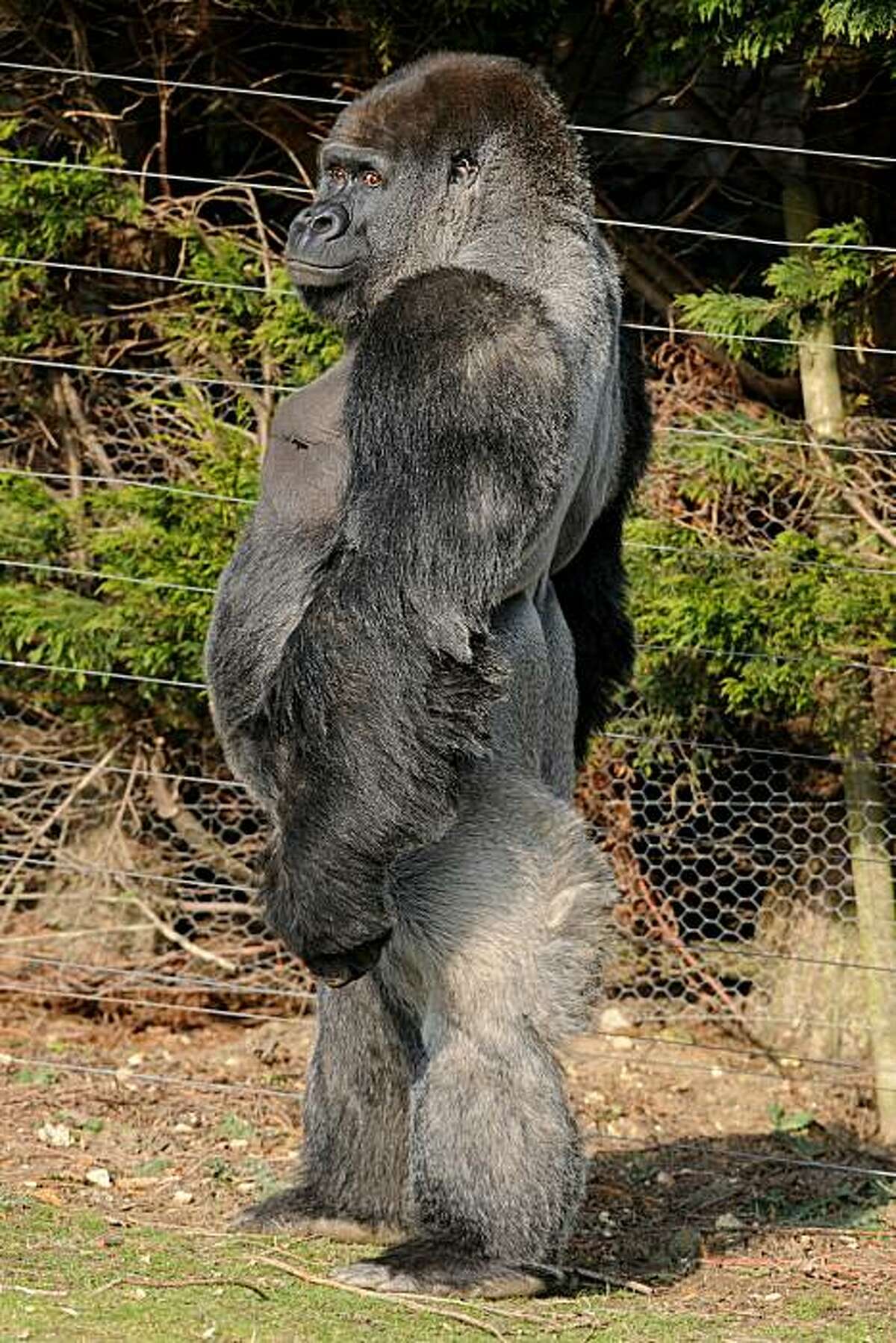 SFGate: Day in Pictures