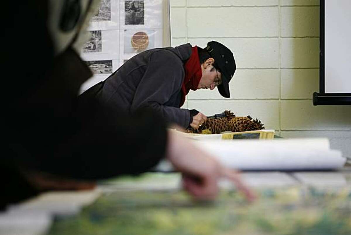 Camp Mather celebration