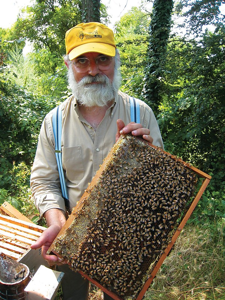 'Queen of the Sun' review: Bee movie is no B movie