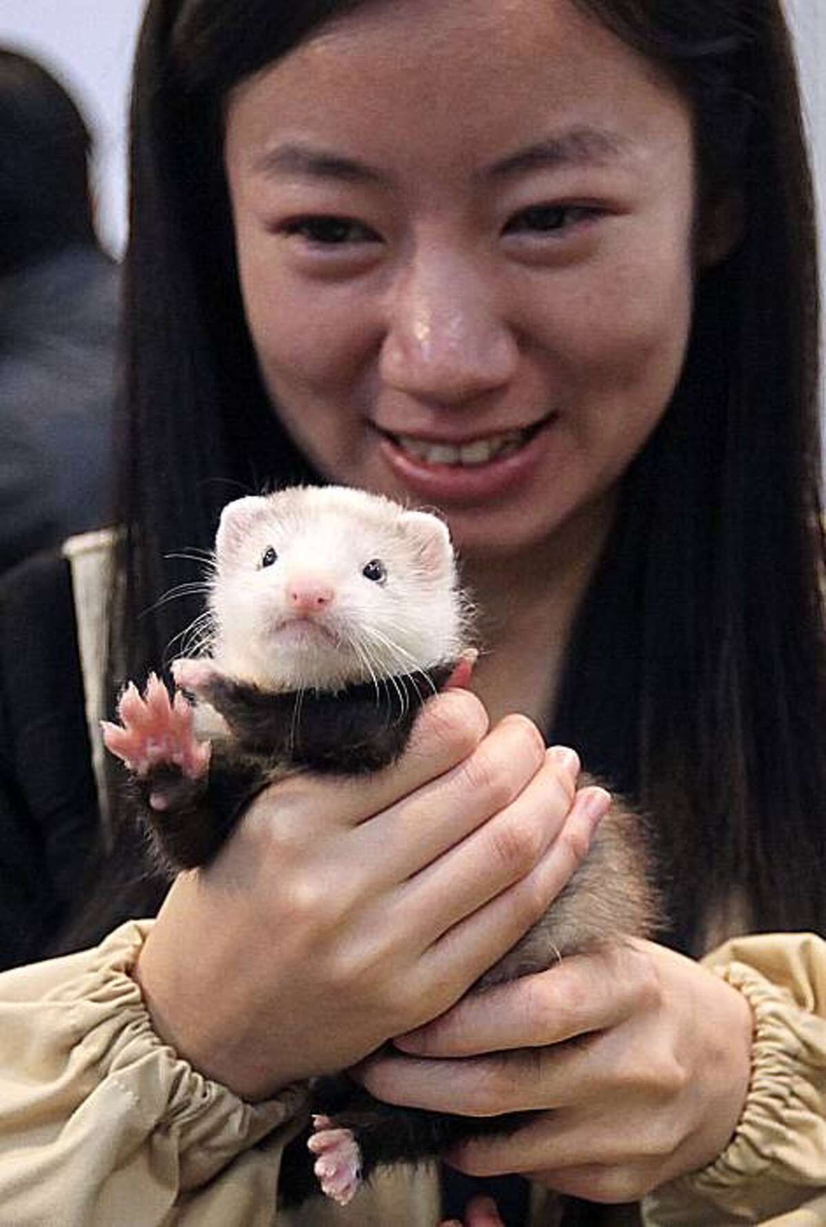 SFGate: Day in Pictures