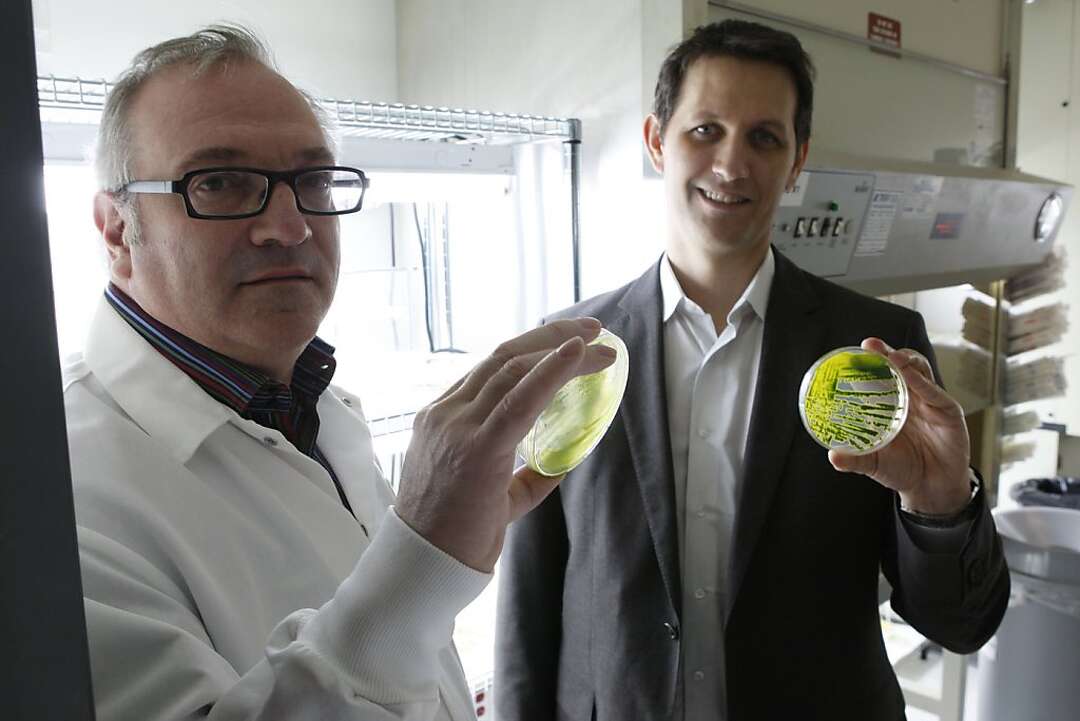 Algenist uses Solazyme microalgae for anti-aging