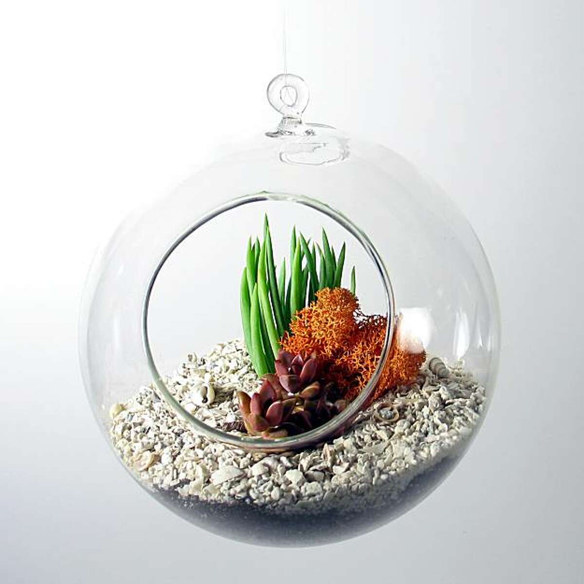 Hanging terrarium trend boosted with new shapes