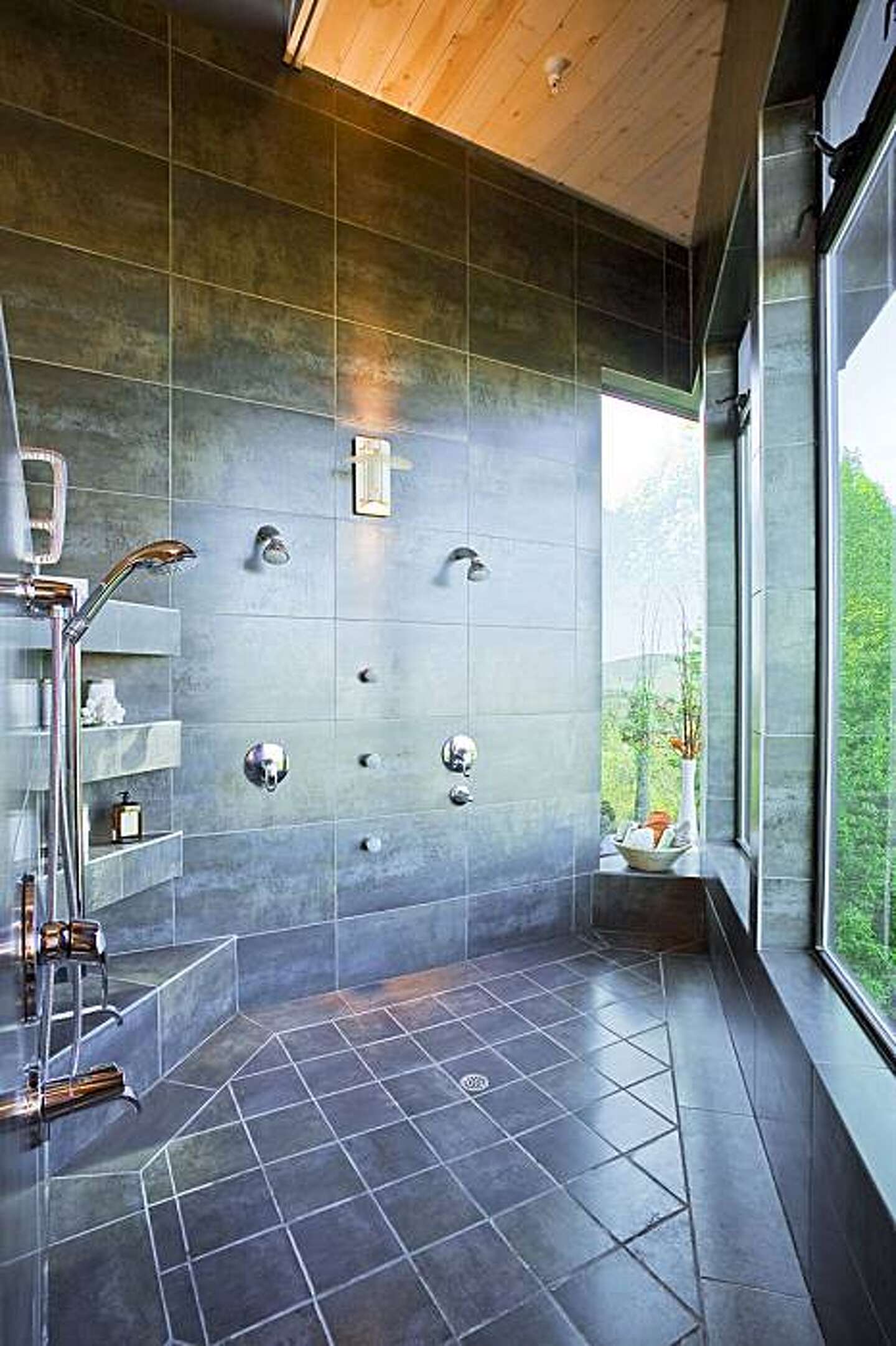 San Rafael modern, sprawling home with views