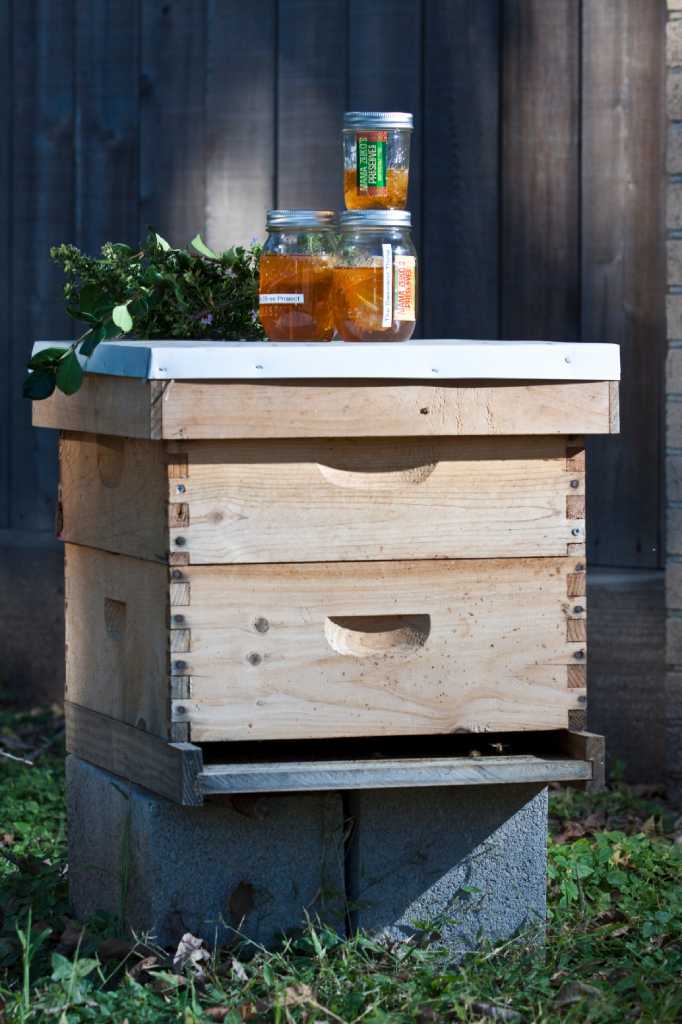 There's a buzz in the air about Honey Project