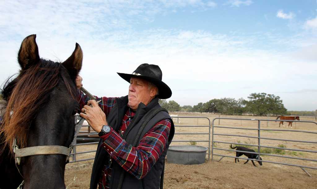 Cowboy pastor and his animals add life to displays
