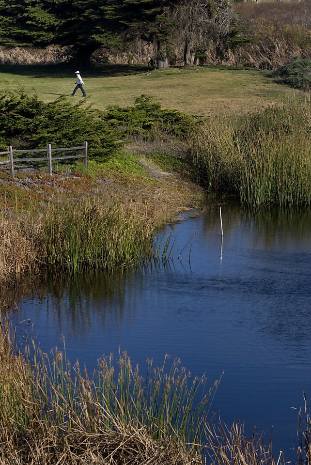 Board backs nature and golf at Sharp Park