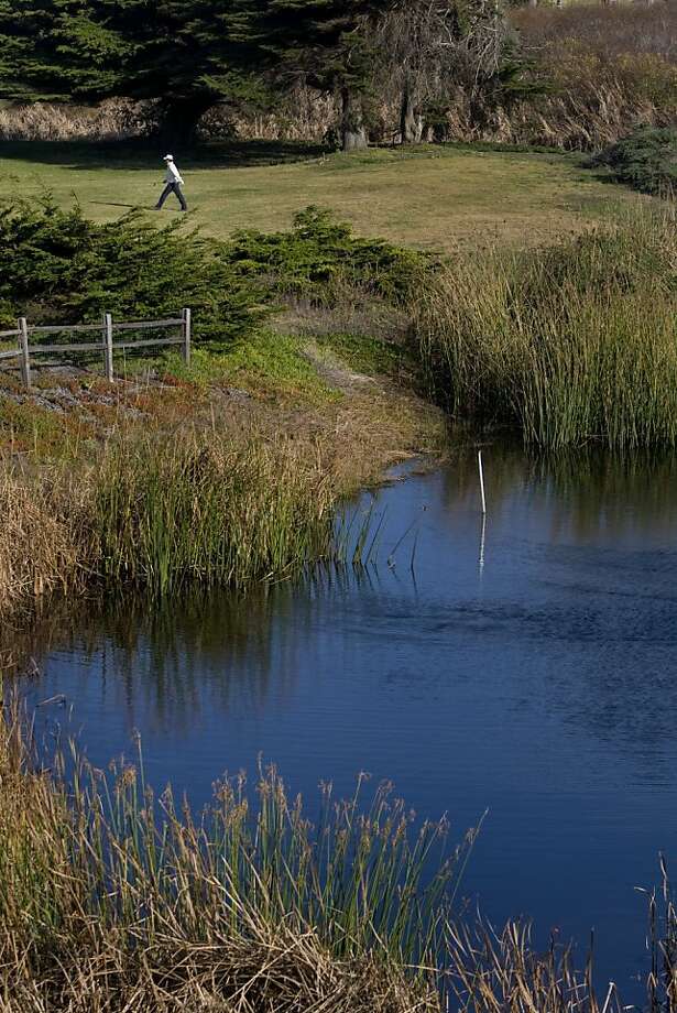 Board backs nature and golf at Sharp Park - SFGate