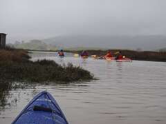 North bay marshes offer paddlers some solitude