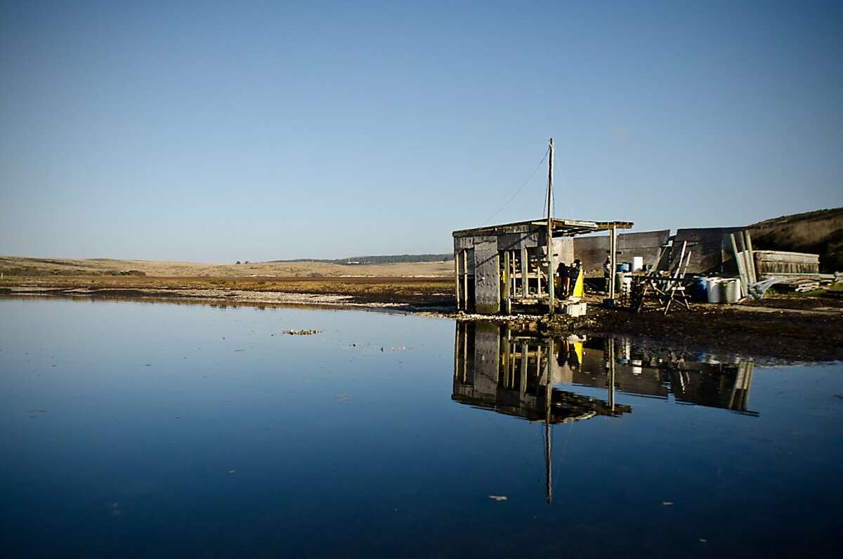 U.S. evicting Point Reyes oyster farmer