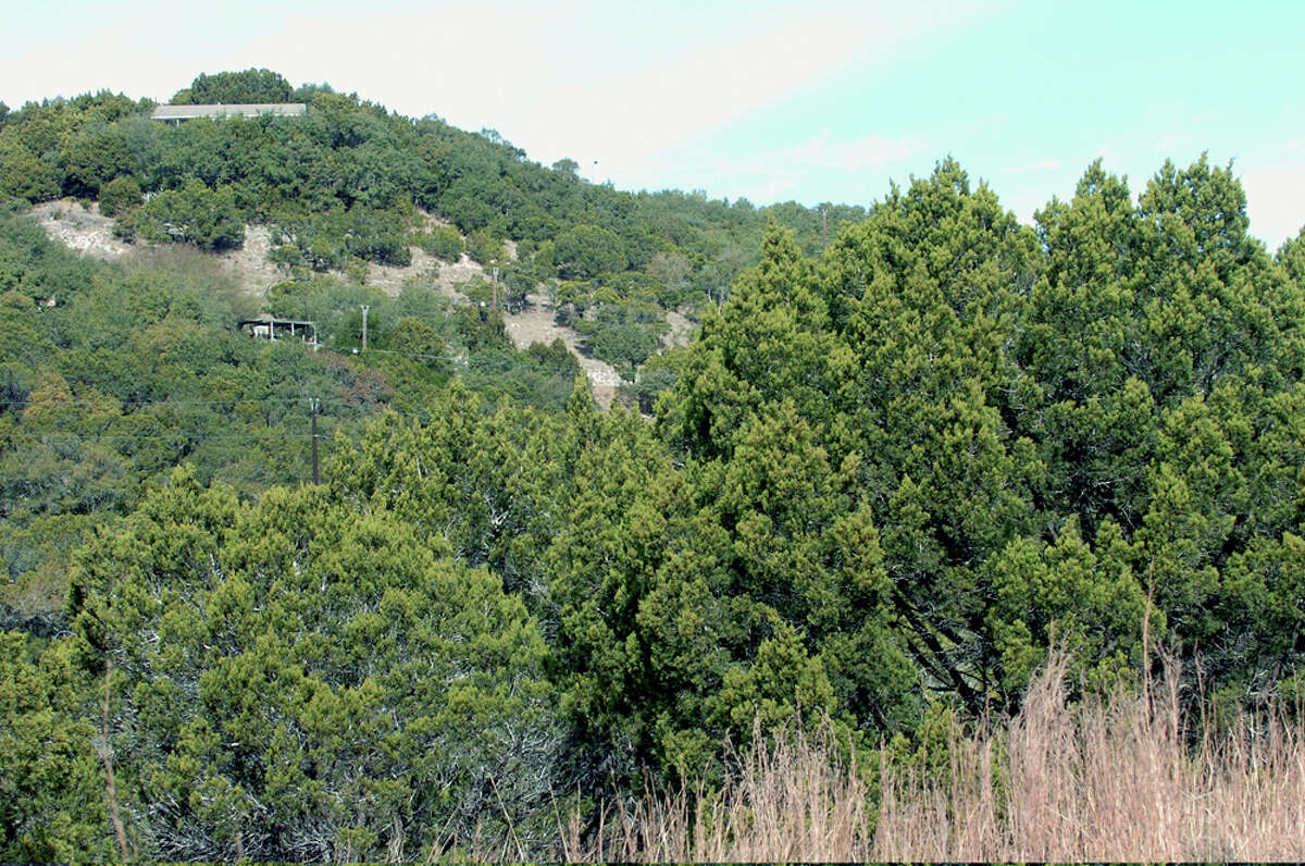 Bless these cedar fever tips