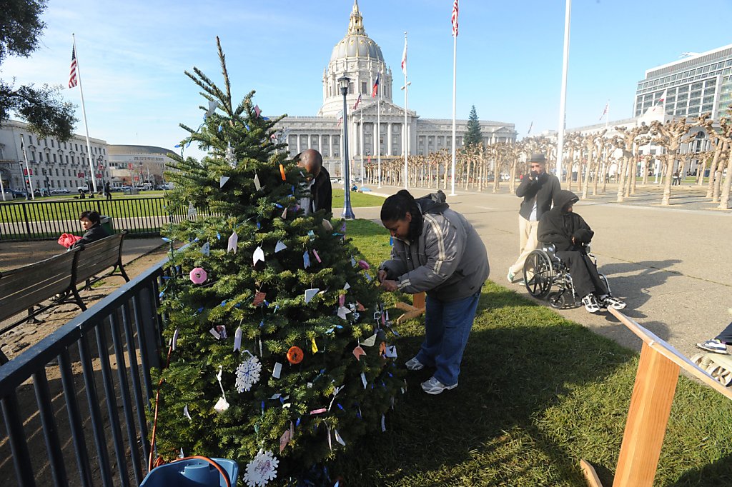Community Tree evergreen - even its ornaments