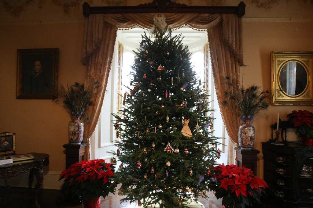 Spaces: S.A.'s own Victorian Christmas house