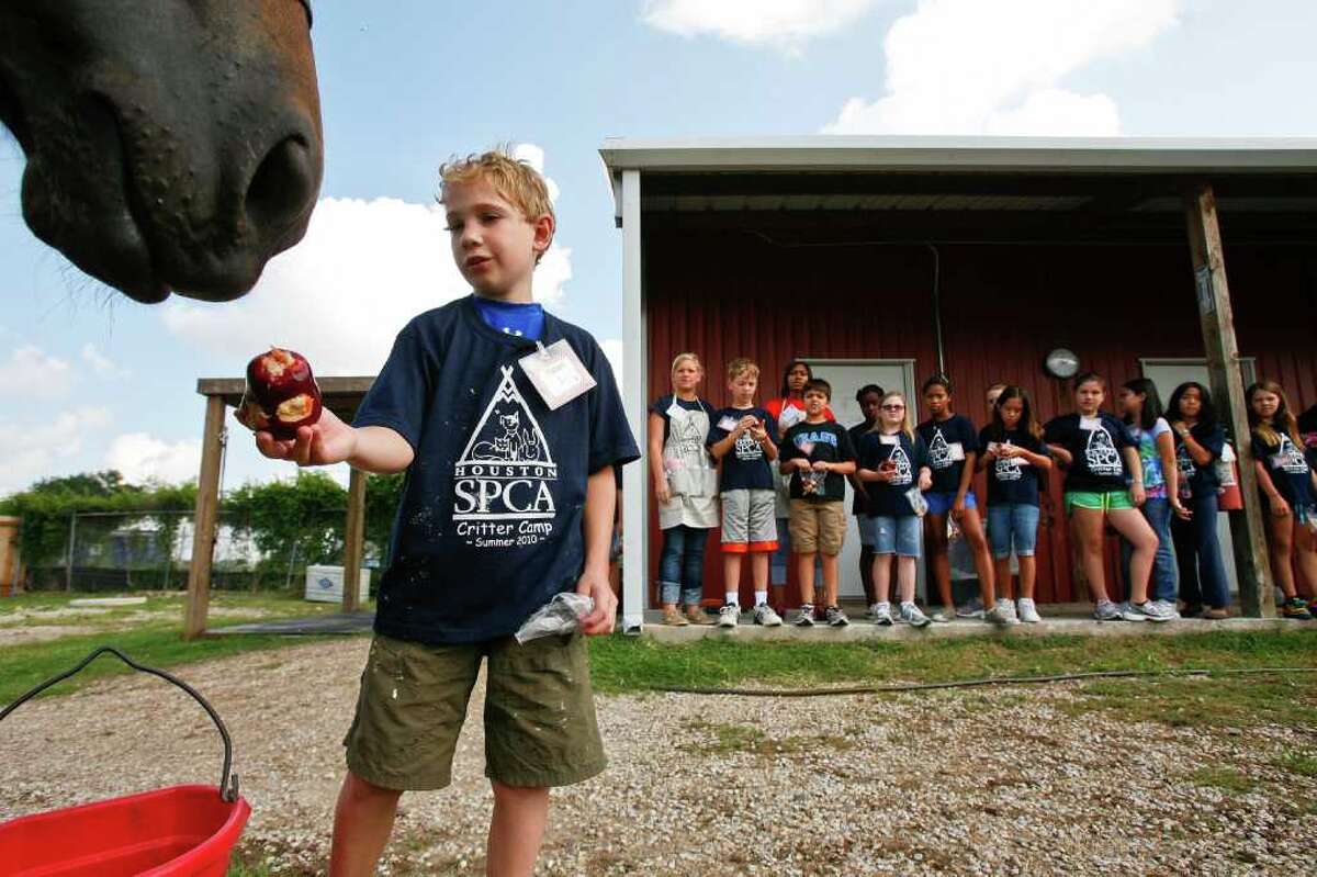 Local kids learn about rescued animals during the Houston SPCA Critter Camp