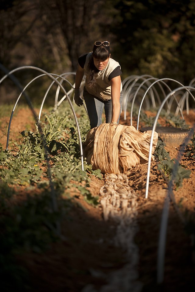 Dinner Bell Farm's new breed of ranchers