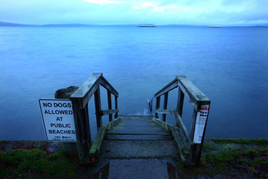King tides and snow headed to Seattle area