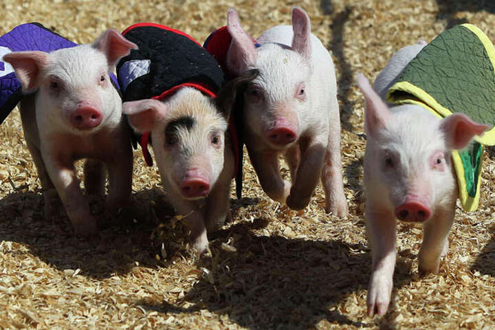 Best of 2011 - John Davenport