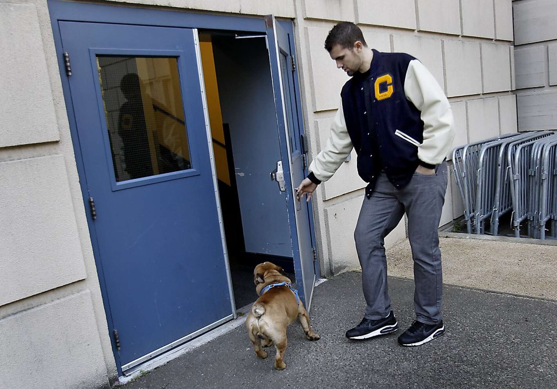 Most popular Bear might be a bulldog