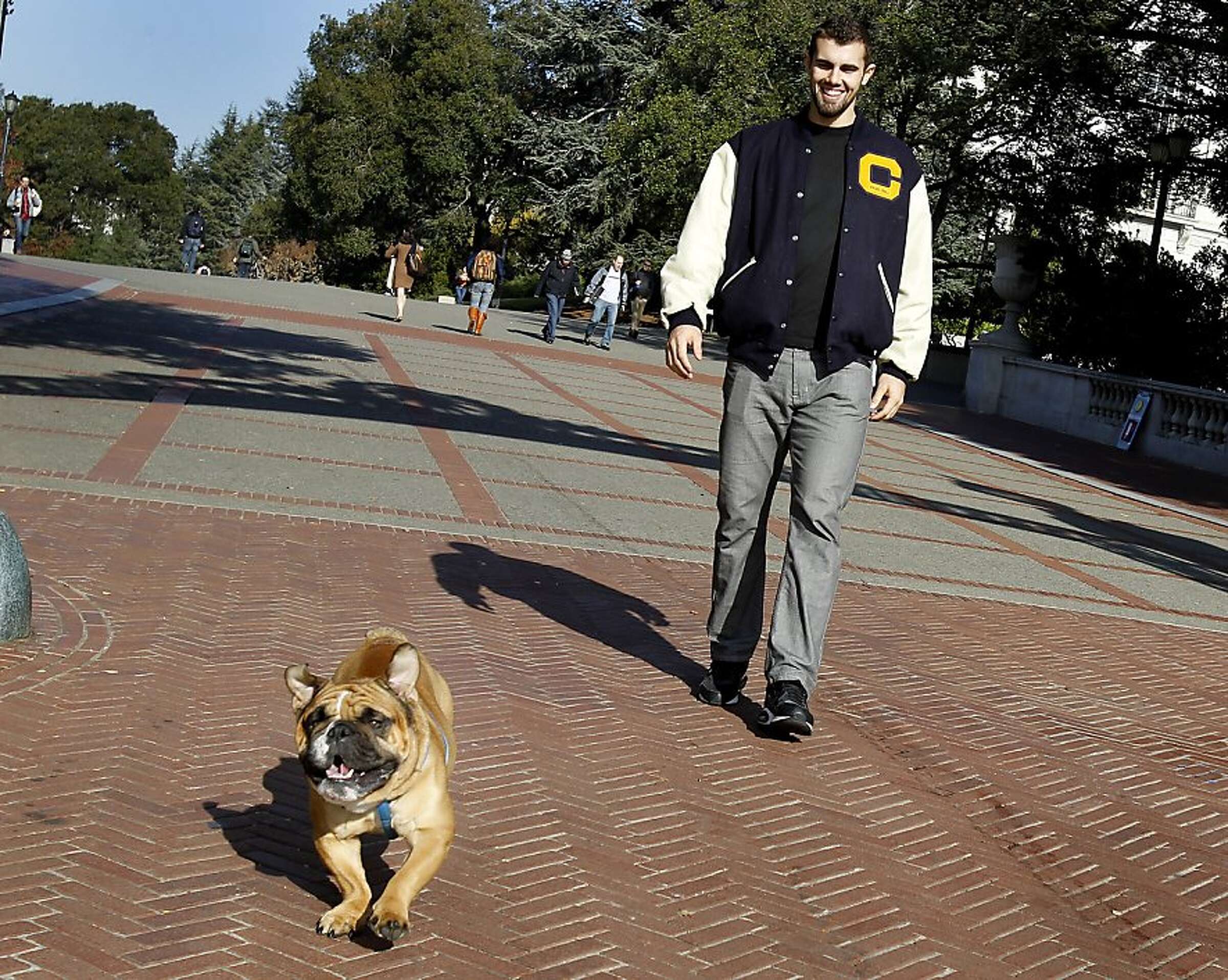 Most popular Bear might be a bulldog