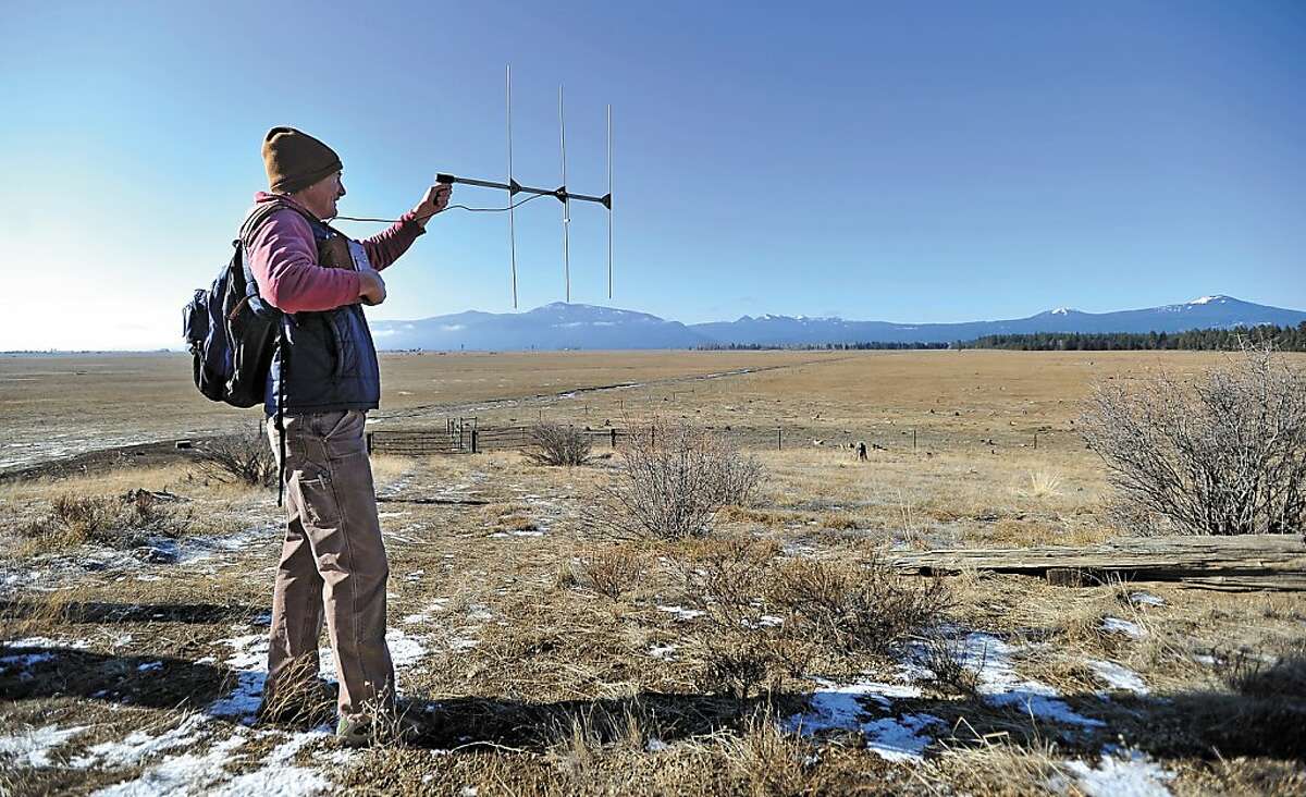 Who's afraid of the lone gray wolf? Ranchers, families