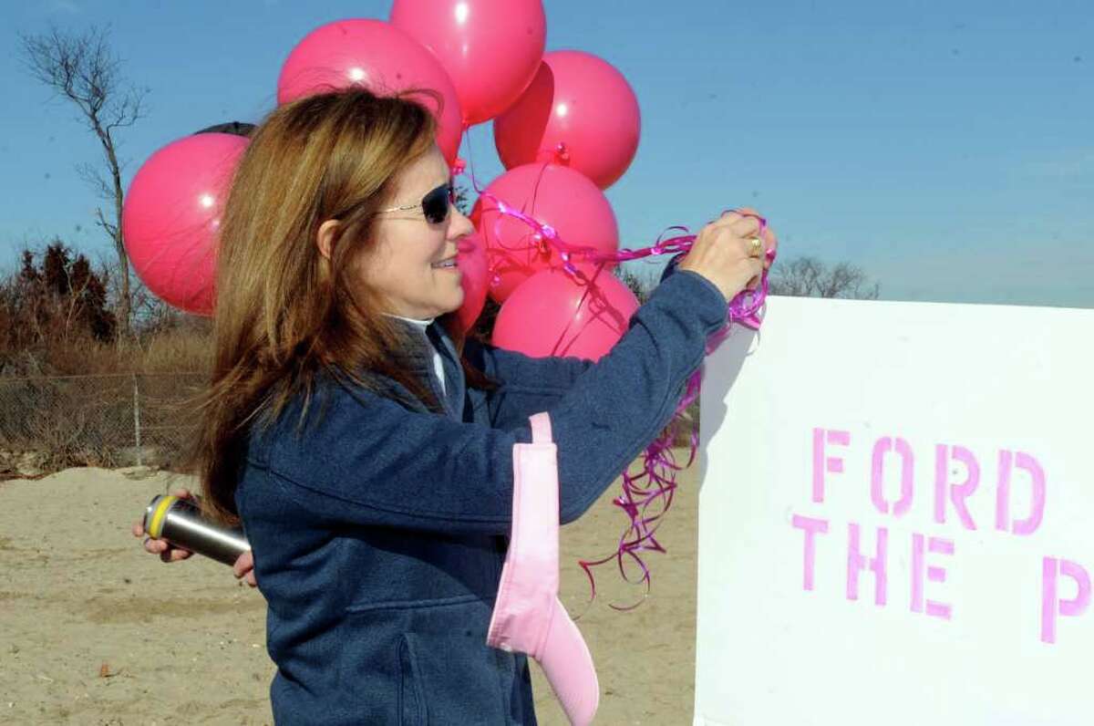 'Tropical weather' greets hundreds of Greenwich Point polar plungers