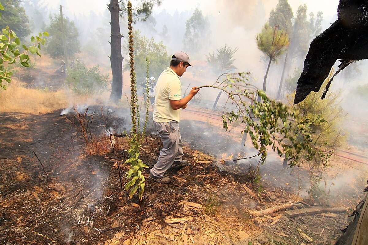 Chile's wildfires rampage through homes, forests