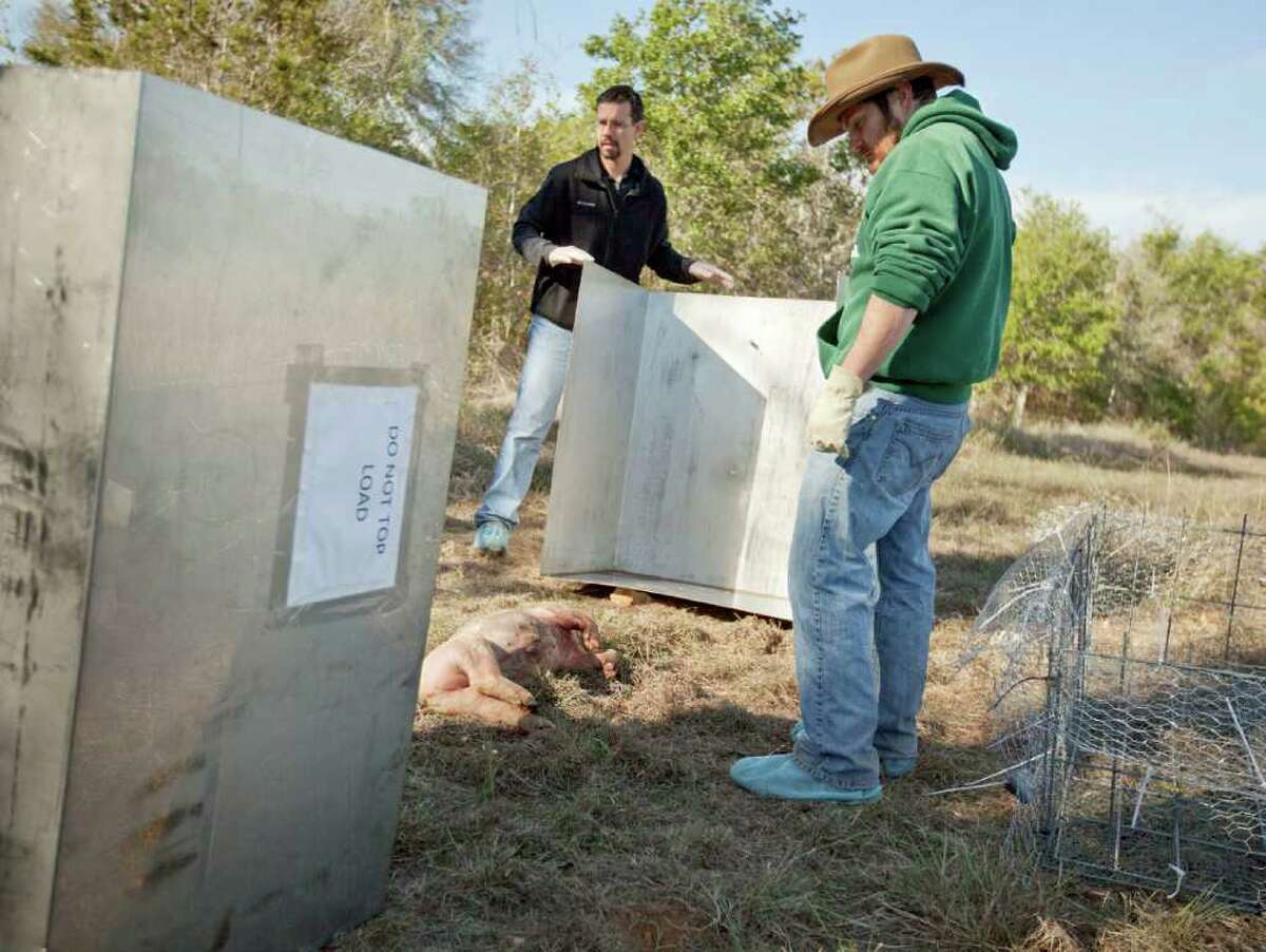 Corpses waste away at Hill Country ‘farm'