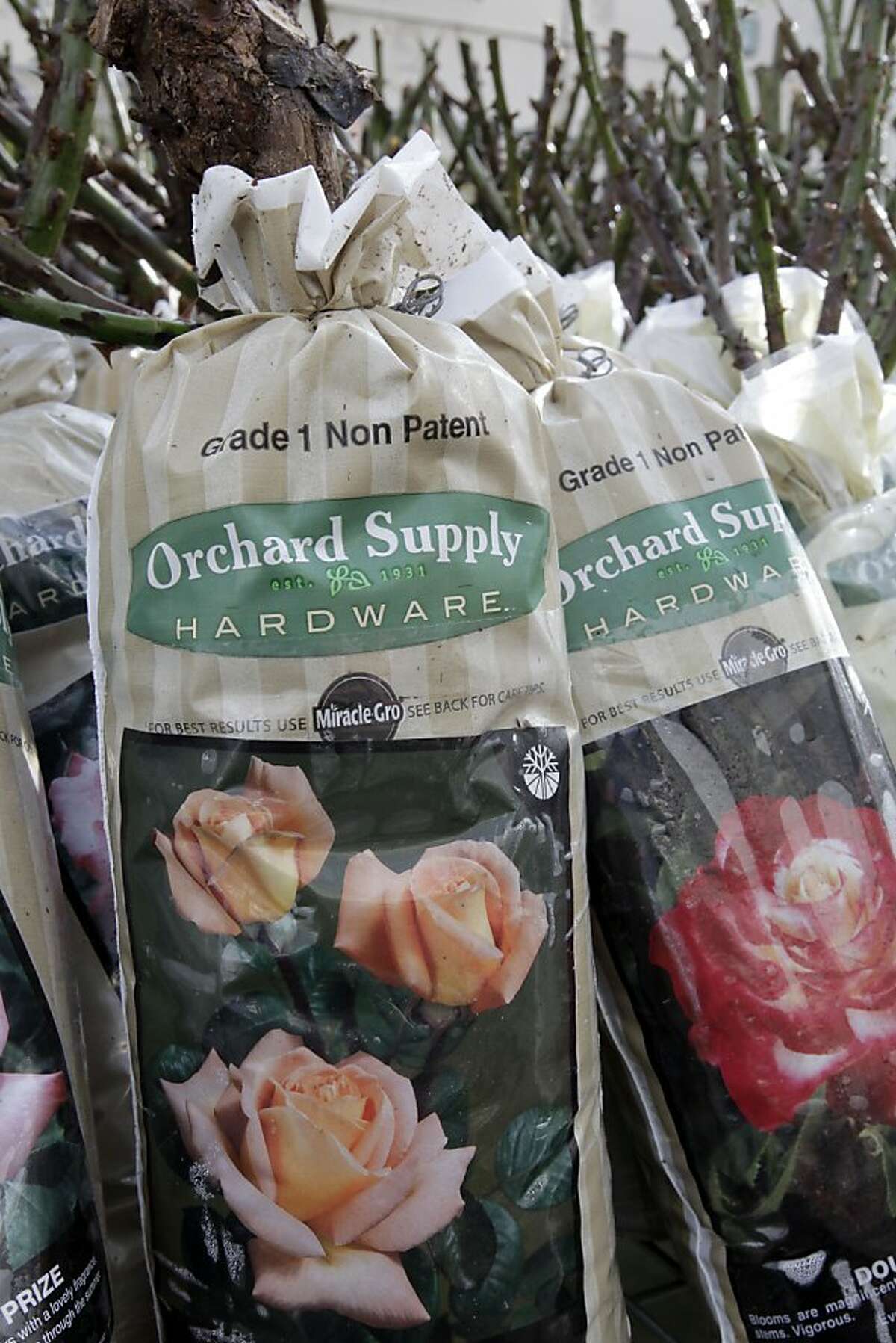Orchard Supply on its own again
