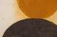 Healdsburg artist Wade Hoefer spices up paintings