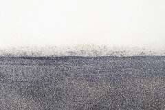 Healdsburg artist Wade Hoefer spices up paintings