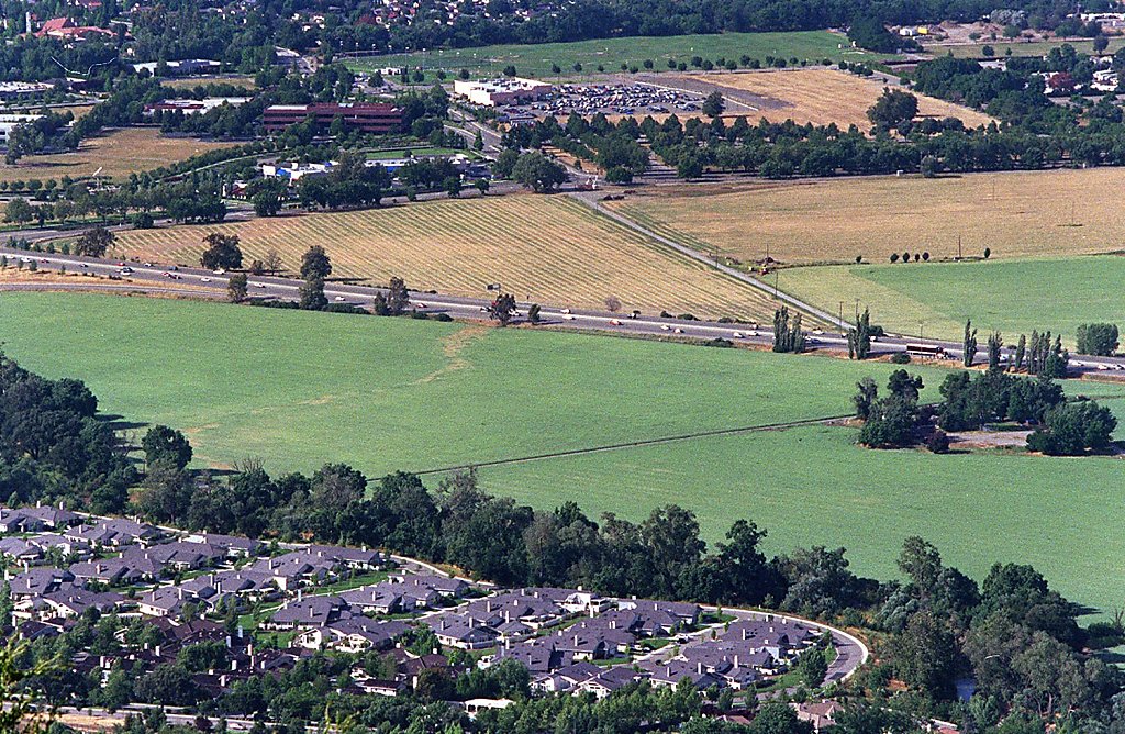 U.S. judge OKs alfalfa strain made by Monsanto Co.