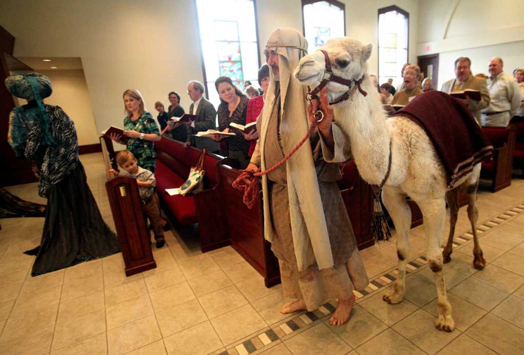 Camel in church