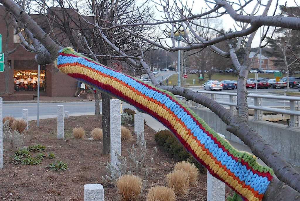 Downtown coverup: Trees swathed in colorful warmers