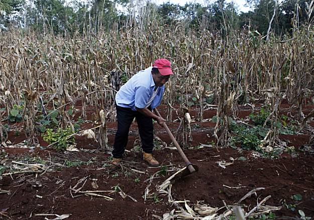 Mayan village damaged by drought, heat