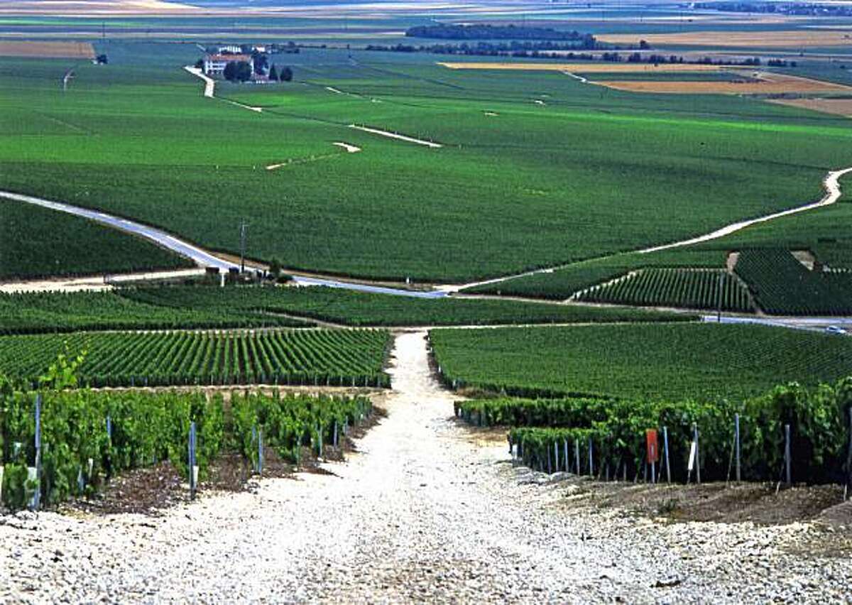 Champagne: How to choose new favorites