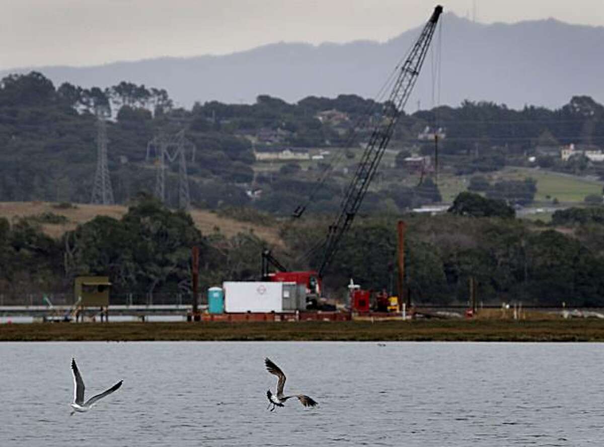 Elkhorn Slough dam project will slow erosion
