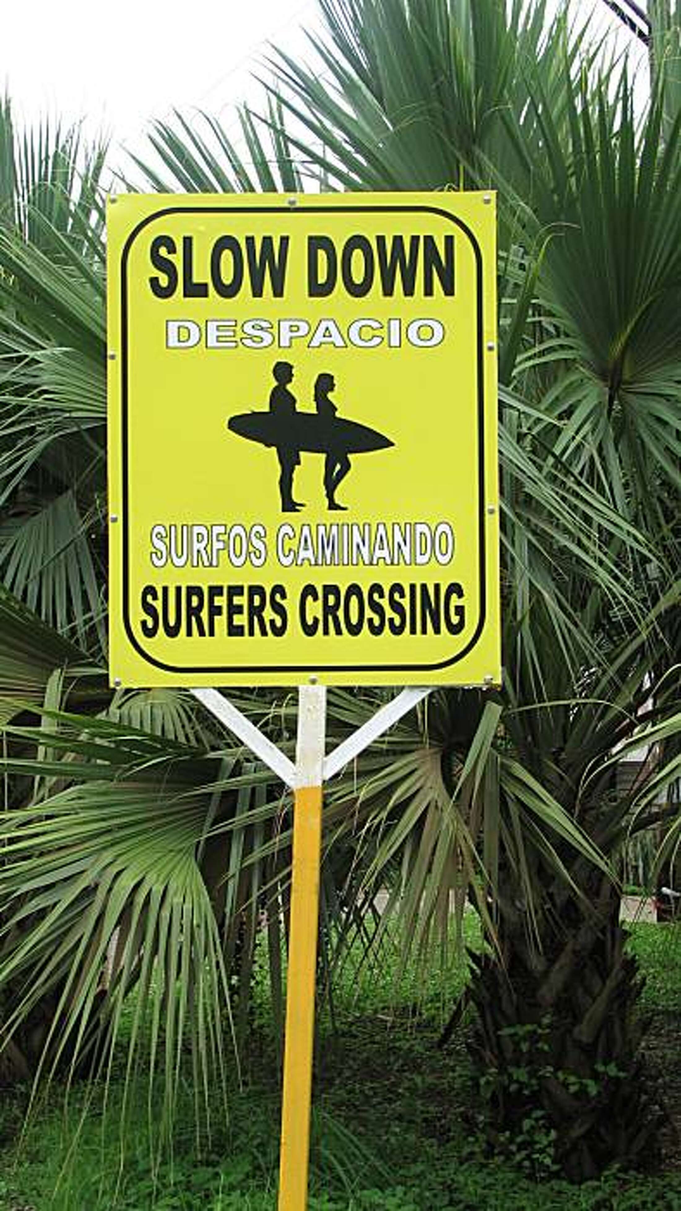 A surfer's paradise at Playa Guiones, Costa Rica