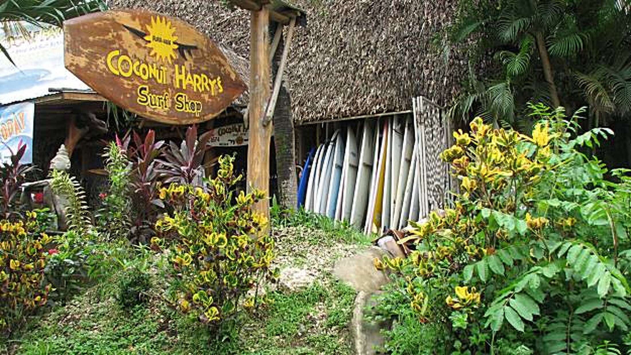 A surfer's paradise at Playa Guiones, Costa Rica