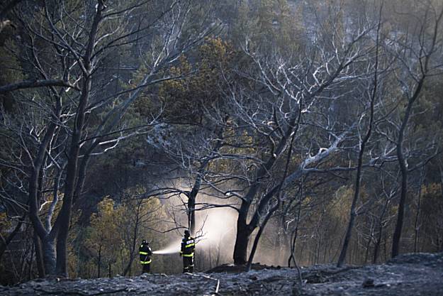 Israel wildfire death toll tops 40