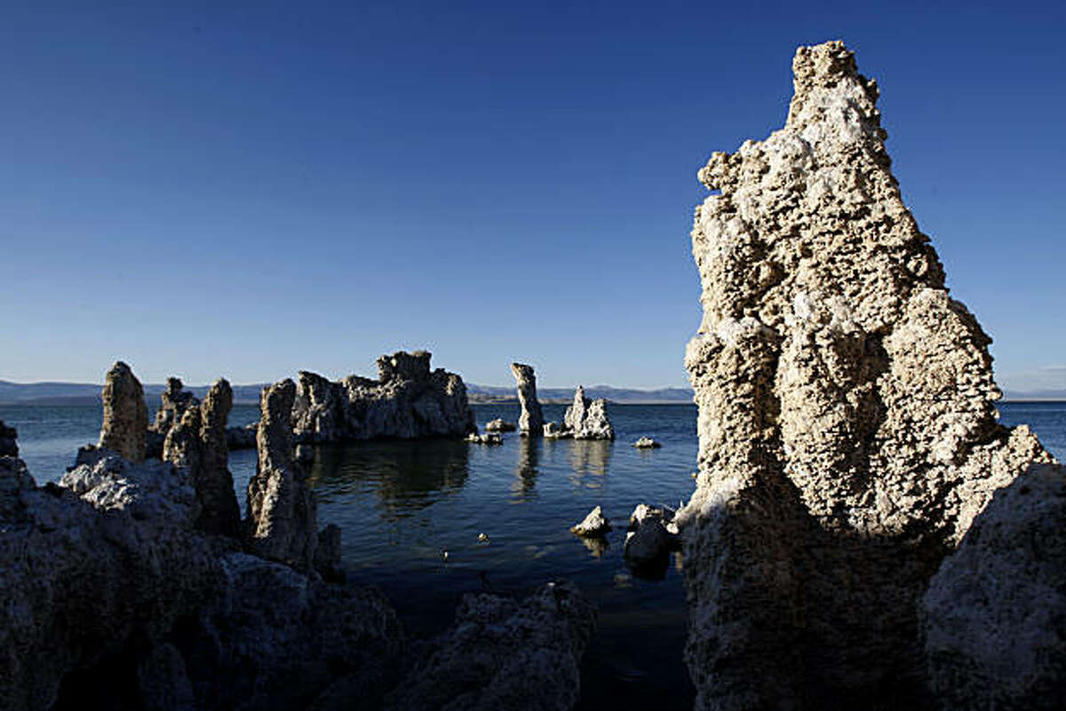 Mono Lake bacteria seen as model for life in space