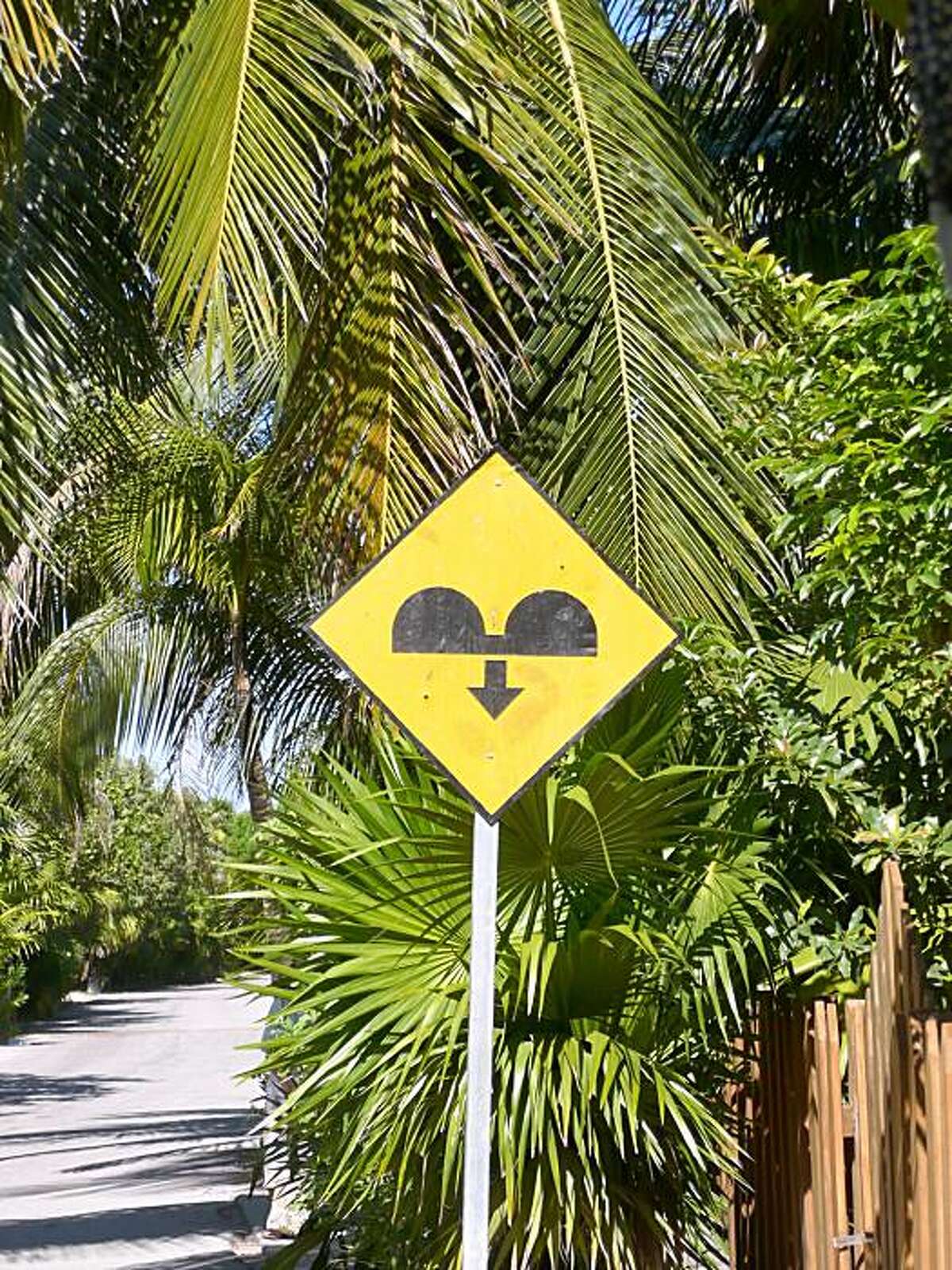 Road warrior: Surviving Mexico's highways and byways